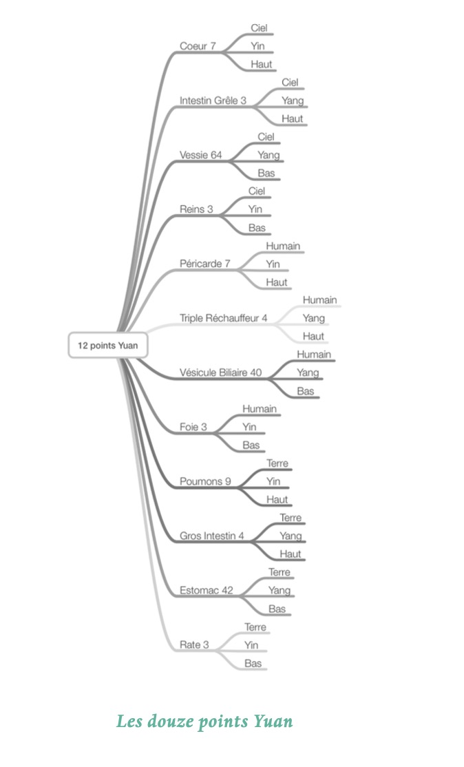 Les douze points-source – Dragon Celeste Blog